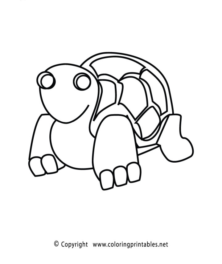 25 Free Turtle Coloring Pages for Kids and Adults