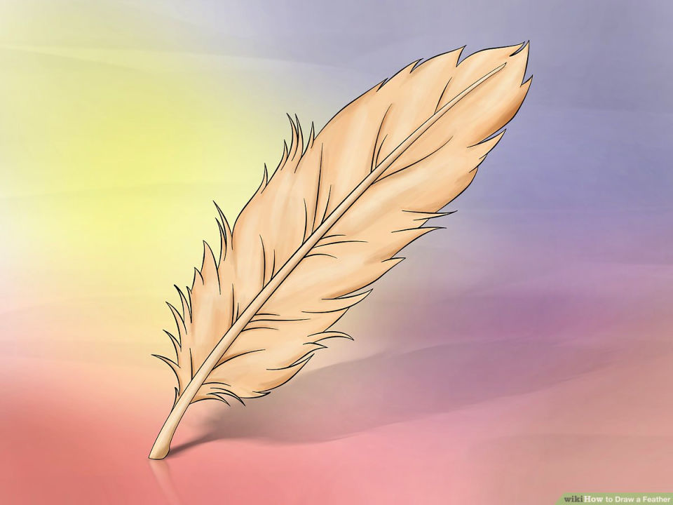 25 Easy Feather Drawing Ideas - How to Draw a Feather