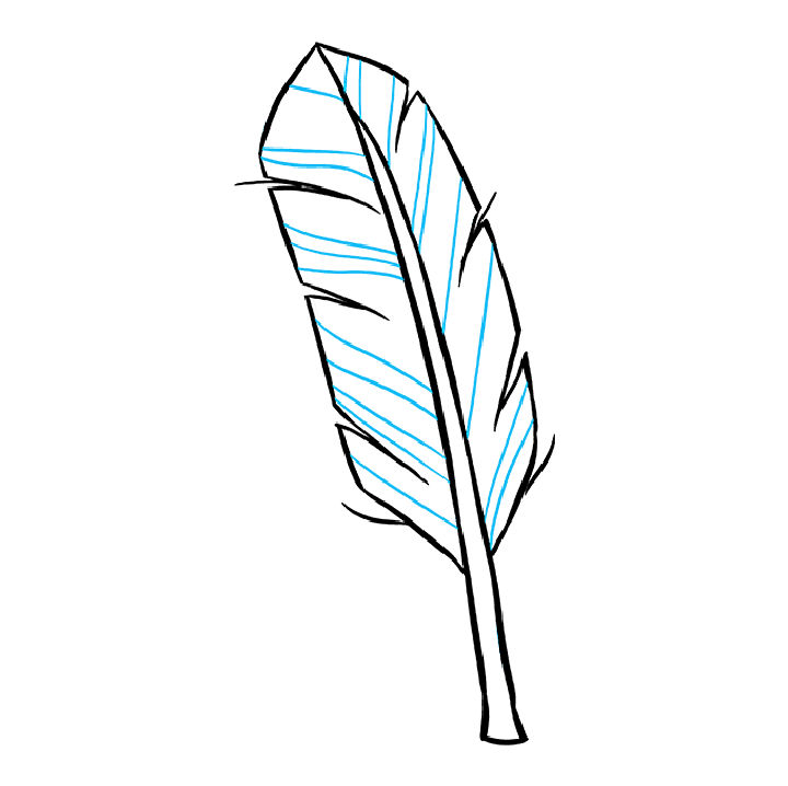 25 Easy Feather Drawing Ideas - How to Draw a Feather