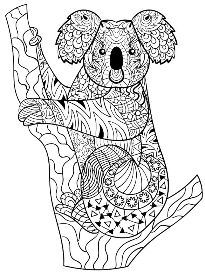 25 Free Koala Coloring Pages for Kids and Adults