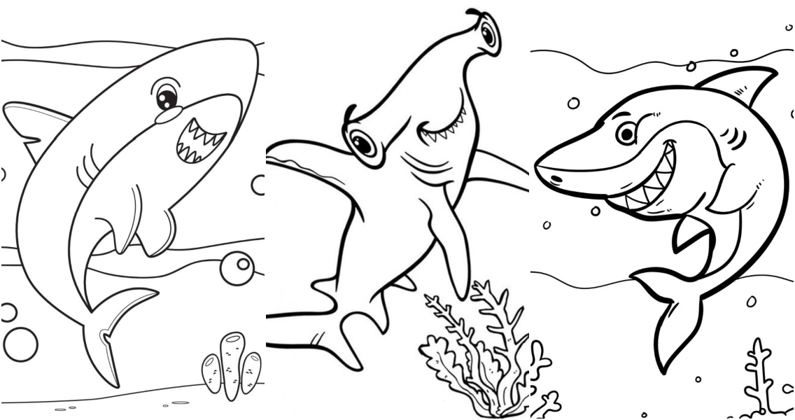 Shark Coloring Pages Top 15 Color Sheets For Kids Of All Ages