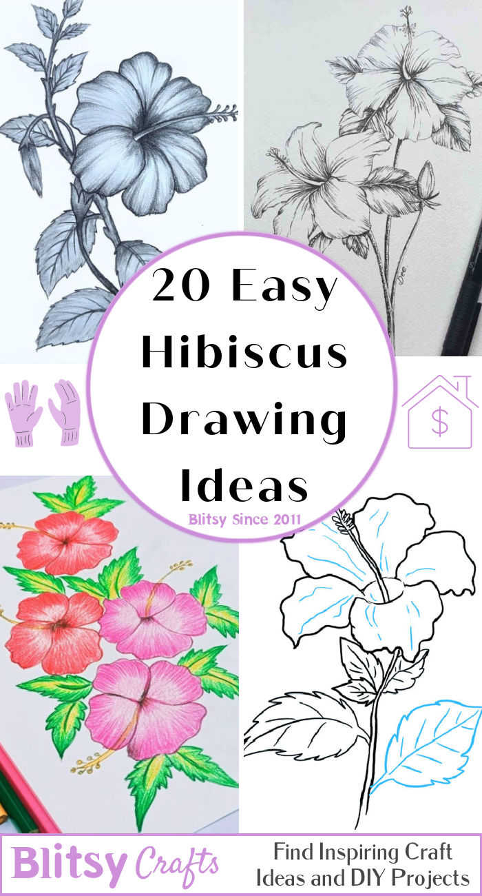 20 Easy Hibiscus Drawing Ideas - Draw a Hibiscus