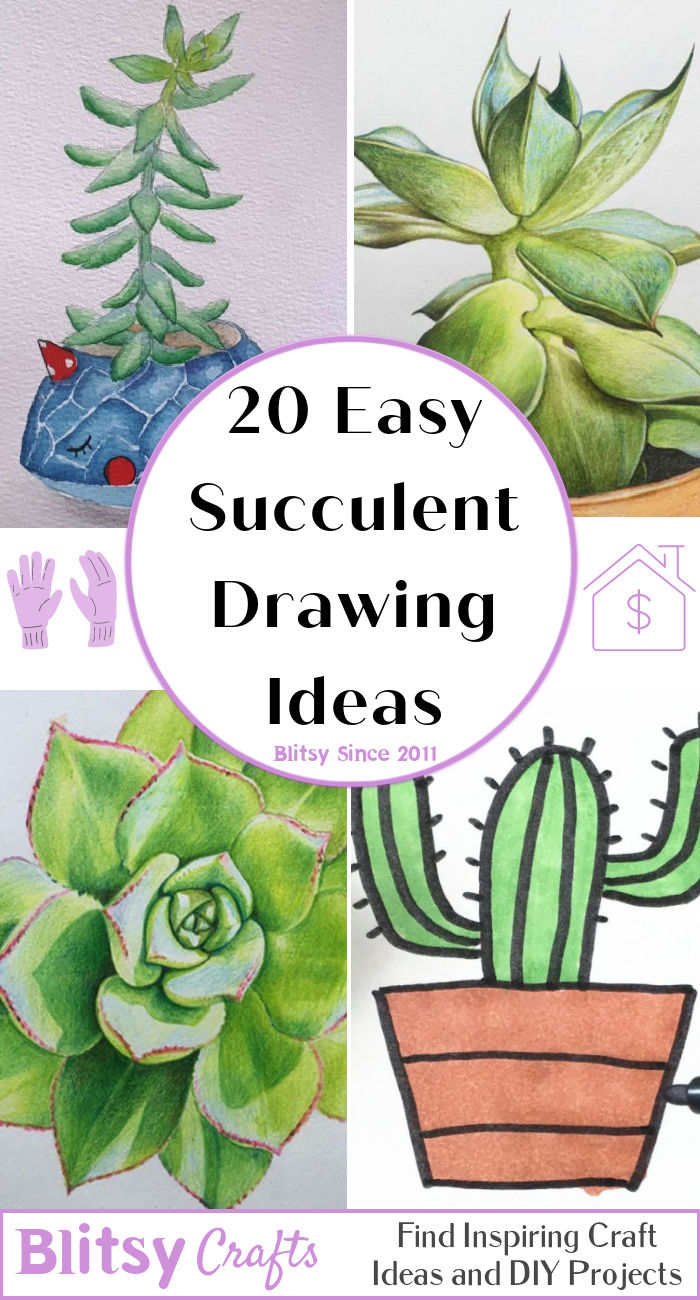 20 Easy Succulent Drawing Ideas - Draw a Succulent