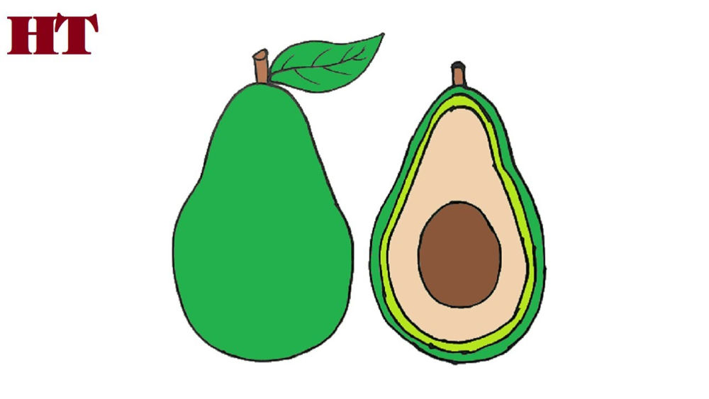 25 Easy Avocado Drawing Ideas - How to Draw