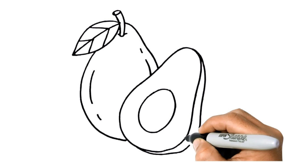25 Easy Avocado Drawing Ideas - How to Draw