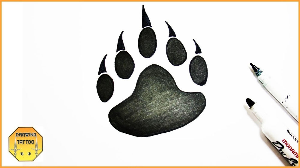 25 Easy Paw Print Drawing Ideas - How to Draw