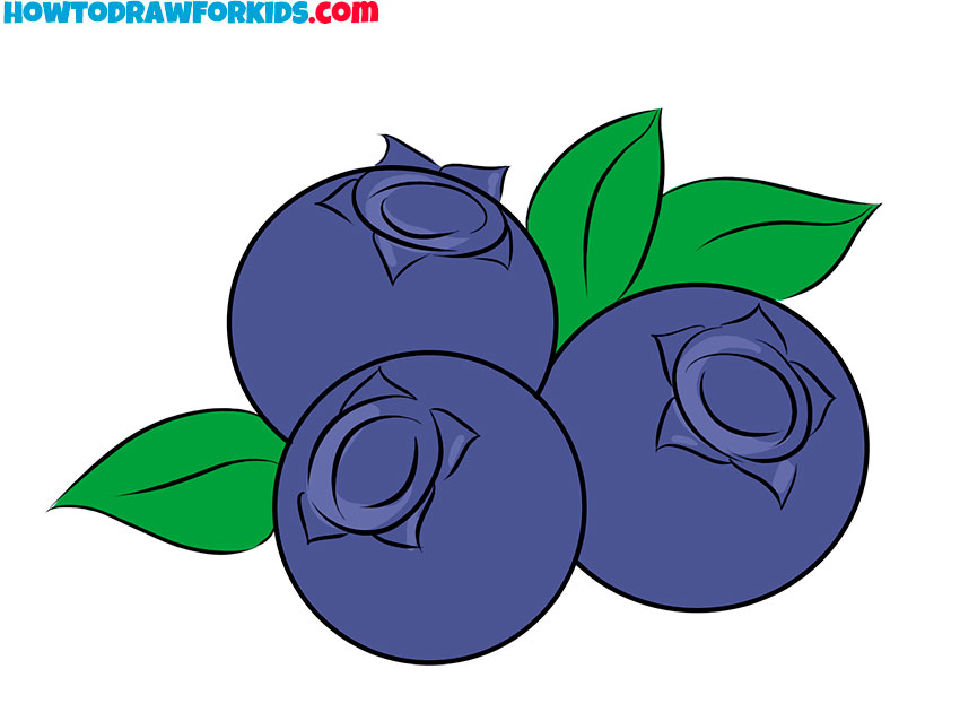 25 Easy Fruit Drawing Ideas - How to Draw Fruit
