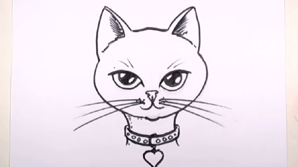 25 Cat Face Drawing Ideas - How to Draw a Cat Face