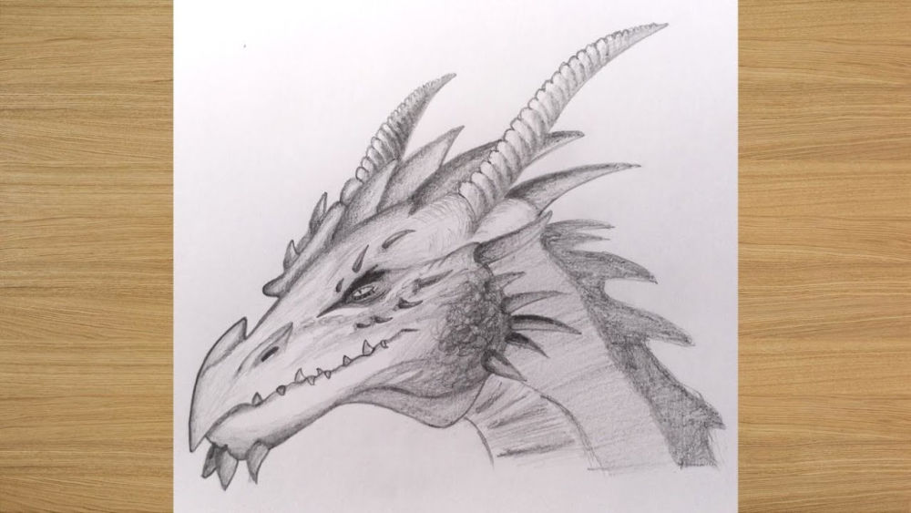 25 Easy Dragon Head Drawing Ideas - How to Draw