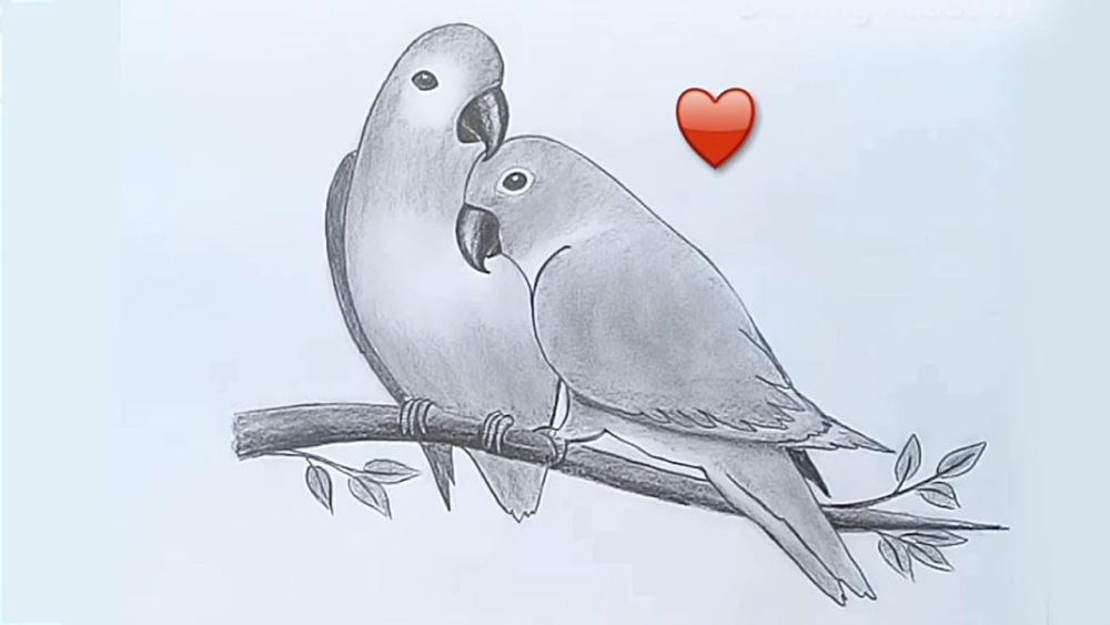 25 Easy Parrot Drawing Ideas - How to Draw a Parrot