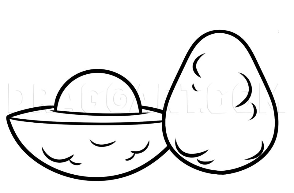 25 Easy Avocado Drawing Ideas - How to Draw