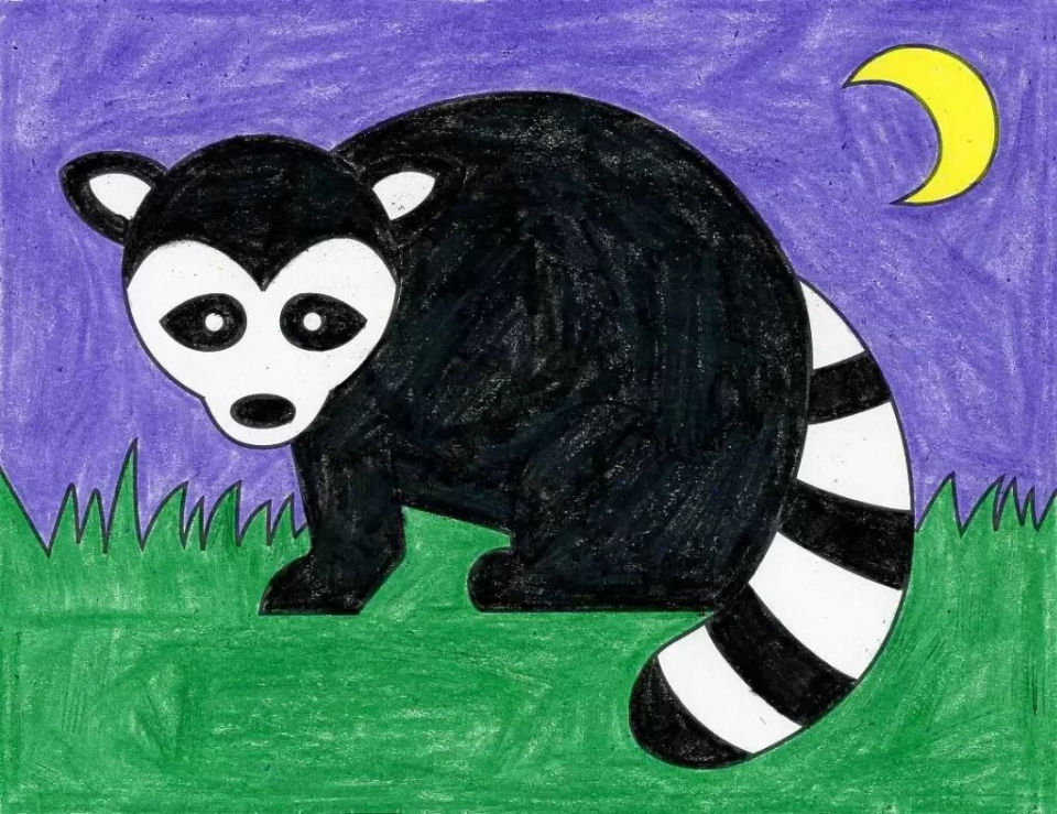 25 Easy Raccoon Drawing Ideas - How to Draw a Raccoon
