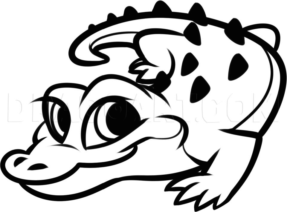 25 Easy Alligator Drawing Ideas - Draw an Alligator