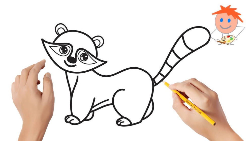 25 Easy Raccoon Drawing Ideas - How to Draw a Raccoon
