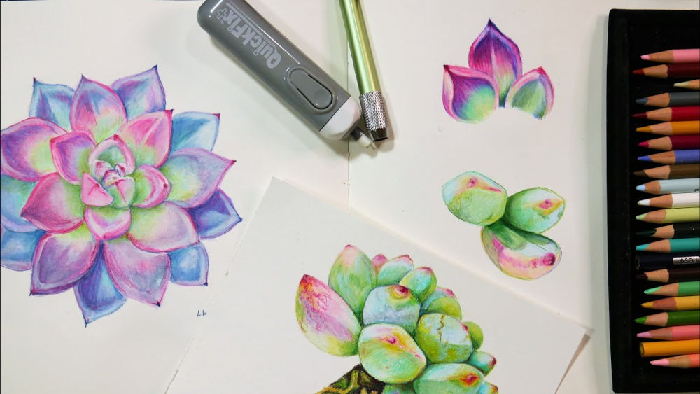 20 Easy Succulent Drawing Ideas - Draw a Succulent