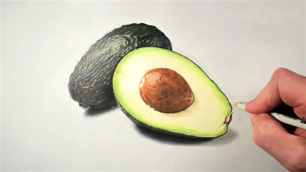 25 Easy Avocado Drawing Ideas - How to Draw