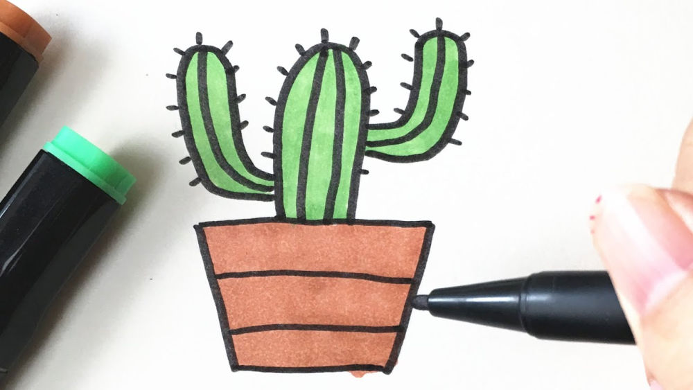 20 Easy Succulent Drawing Ideas - Draw a Succulent