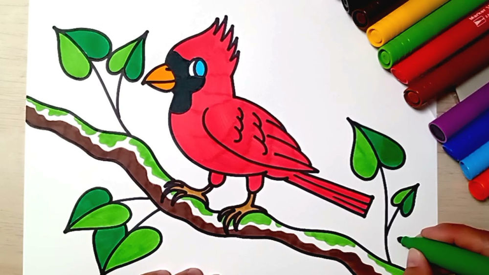 20 Easy Cardinal Drawing Ideas - Draw a Cardinal