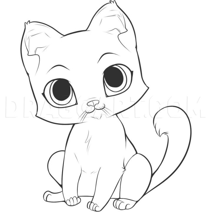 25 Easy Kitten Drawing Ideas - How to Draw a Kitten