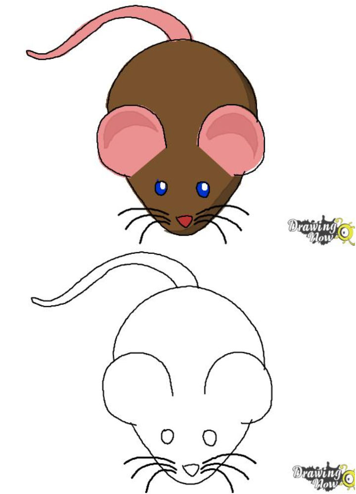 25 Easy Mouse Drawing Ideas - How to Draw a Mouse