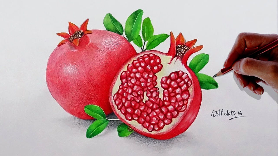 25 Easy Fruit Drawing Ideas - How to Draw Fruit