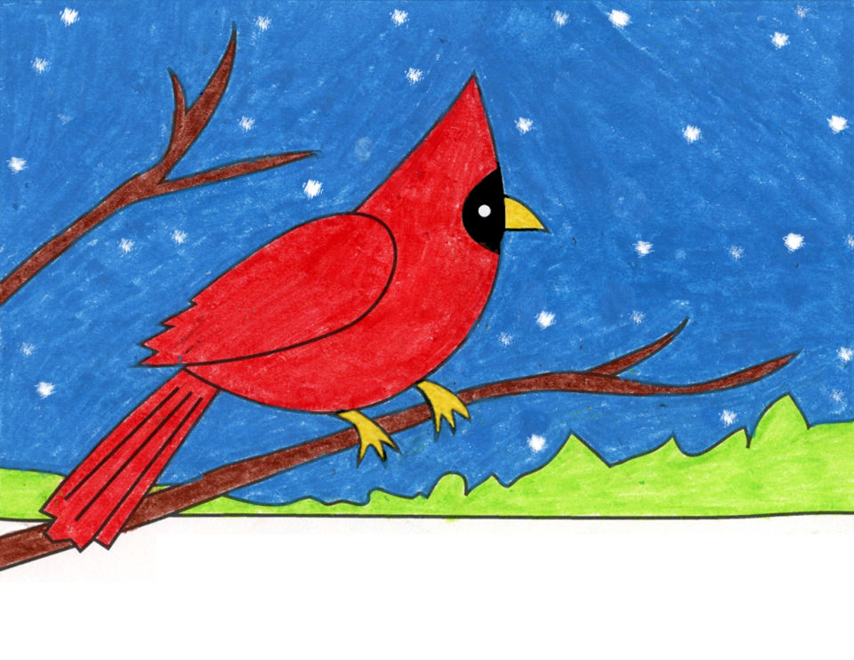 20 Easy Cardinal Drawing Ideas - Draw a Cardinal