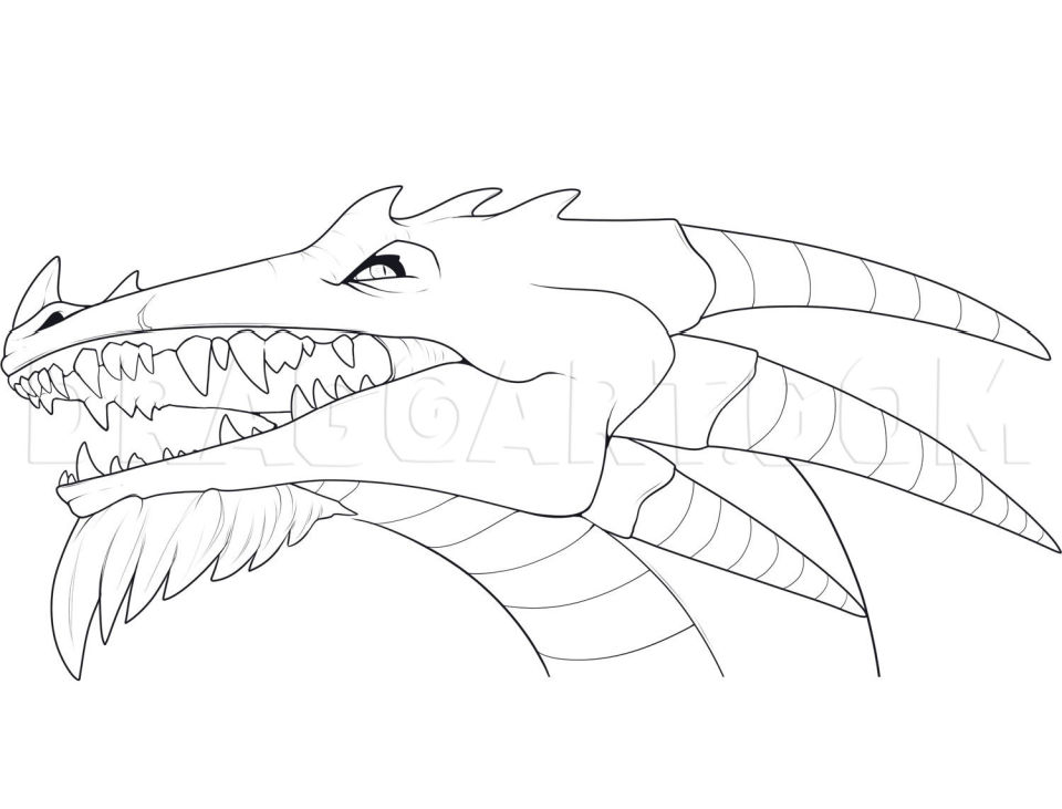 25 Easy Dragon Head Drawing Ideas - How to Draw