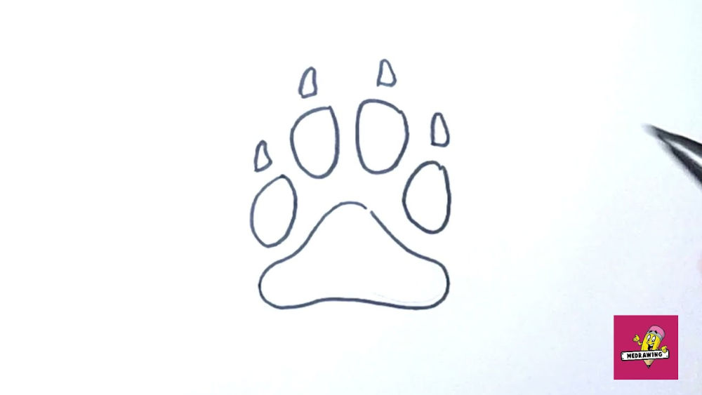 25 Easy Paw Print Drawing Ideas - How to Draw