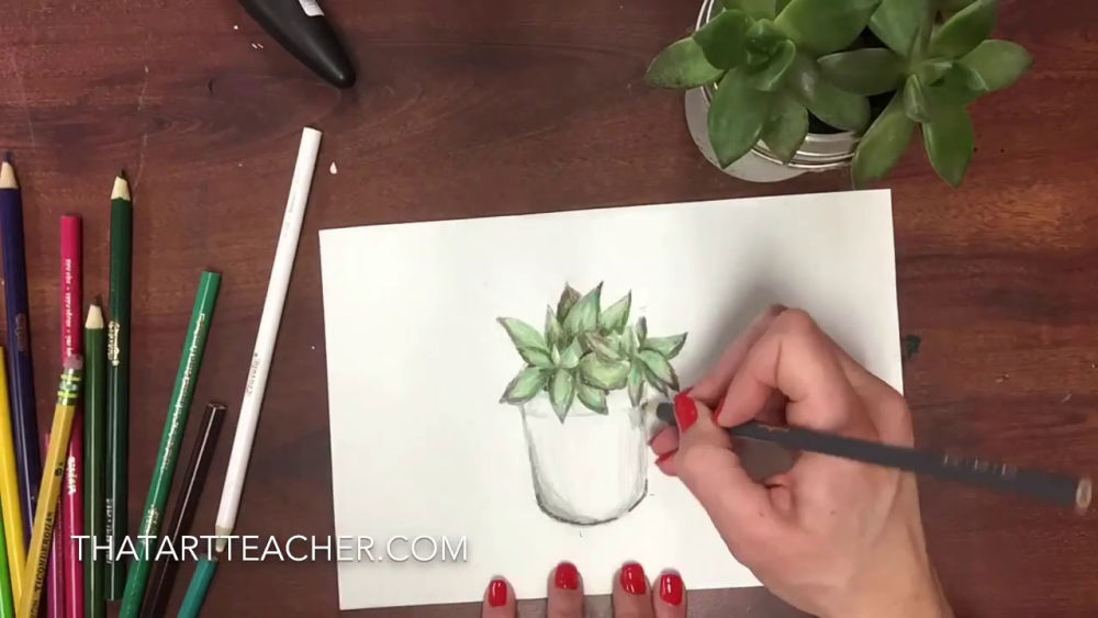 20 Easy Succulent Drawing Ideas - Draw a Succulent