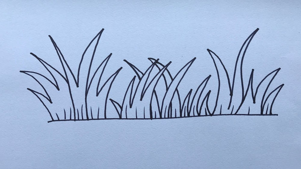 25 Easy Grass Drawing Ideas - How to Draw Grass - Blitsy