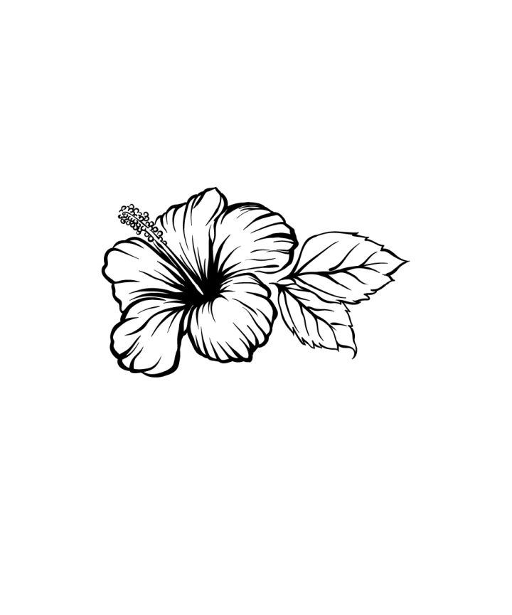 20 Easy Hibiscus Drawing Ideas - Draw a Hibiscus