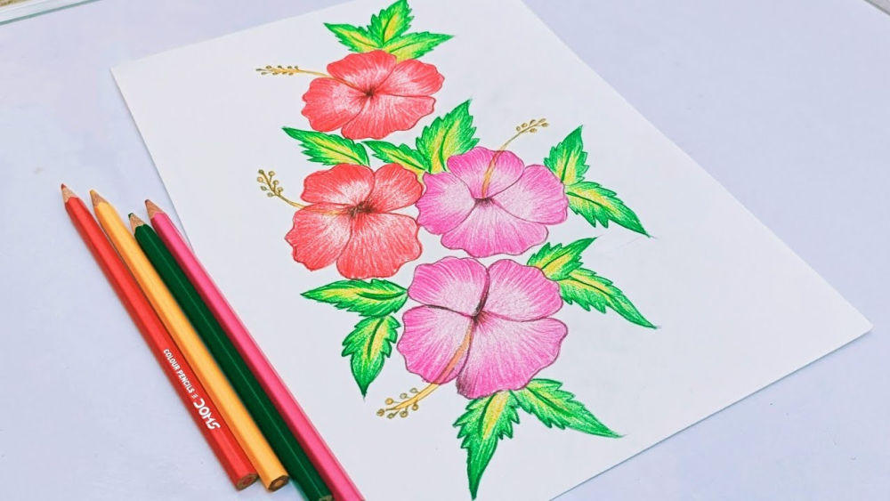 20 Easy Hibiscus Drawing Ideas - Draw a Hibiscus