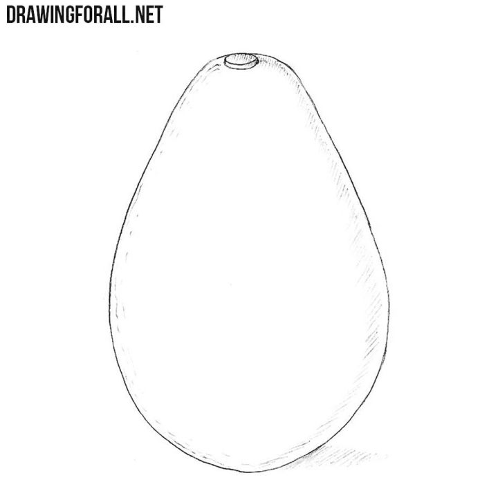 25 Easy Avocado Drawing Ideas - How to Draw