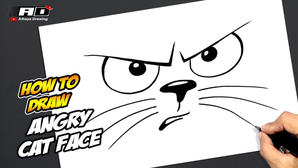 25 Cat Face Drawing Ideas - How to Draw a Cat Face