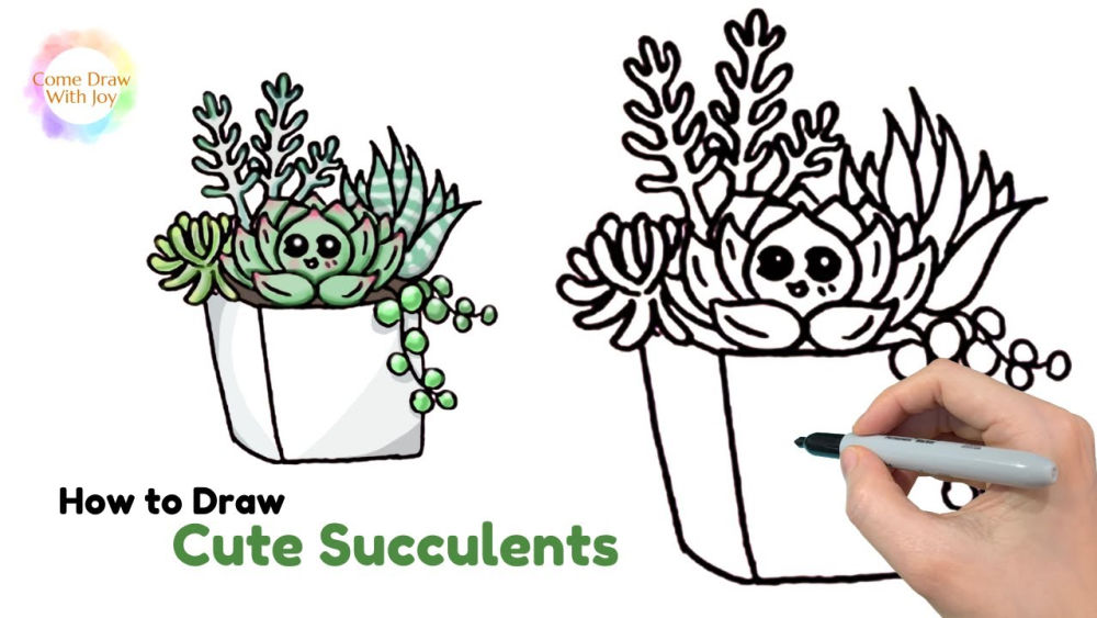 20 Easy Succulent Drawing Ideas - Draw a Succulent