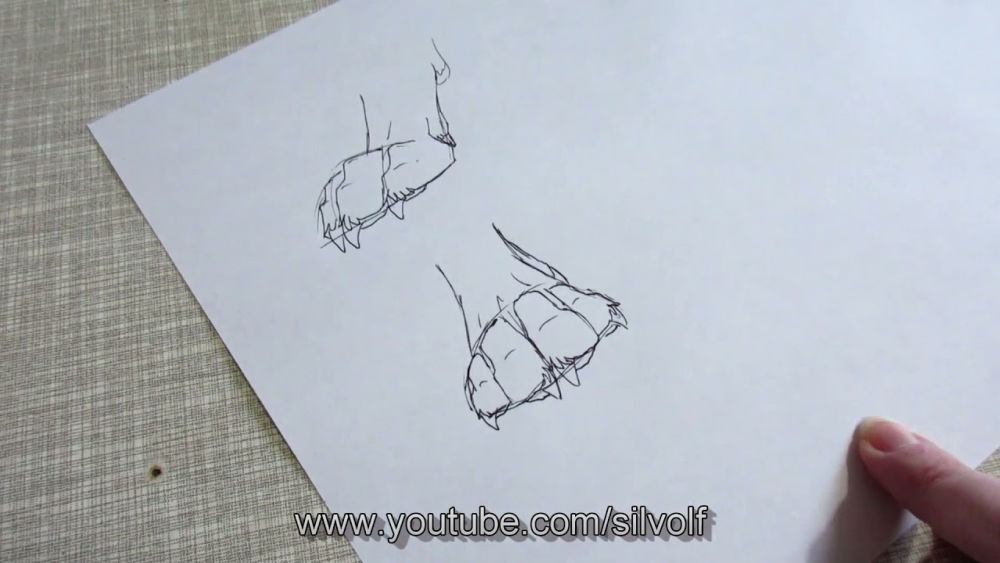 25 Easy Paw Print Drawing Ideas - How to Draw