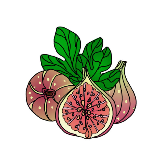 25 Easy Fruit Drawing Ideas - How to Draw Fruit