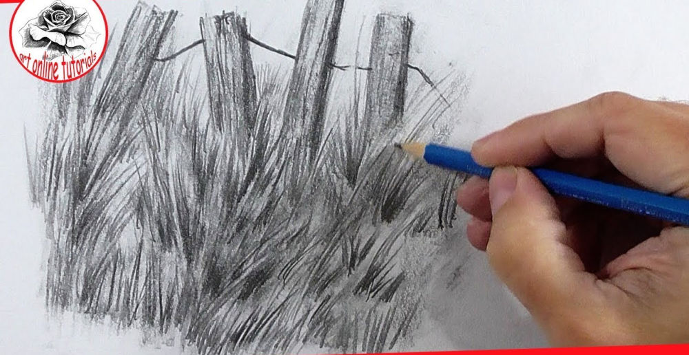 25 Easy Grass Drawing Ideas - How to Draw Grass - Blitsy