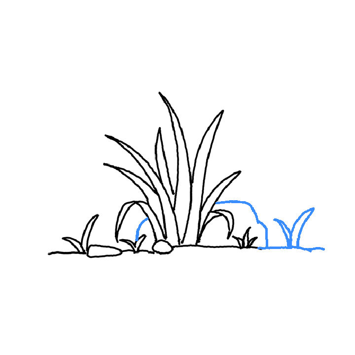 25 Easy Grass Drawing Ideas - How to Draw Grass - Blitsy