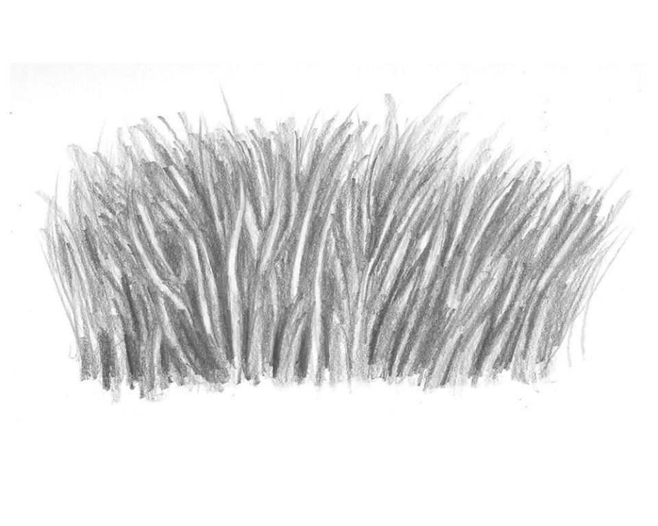 25 Easy Grass Drawing Ideas - How to Draw Grass - Blitsy