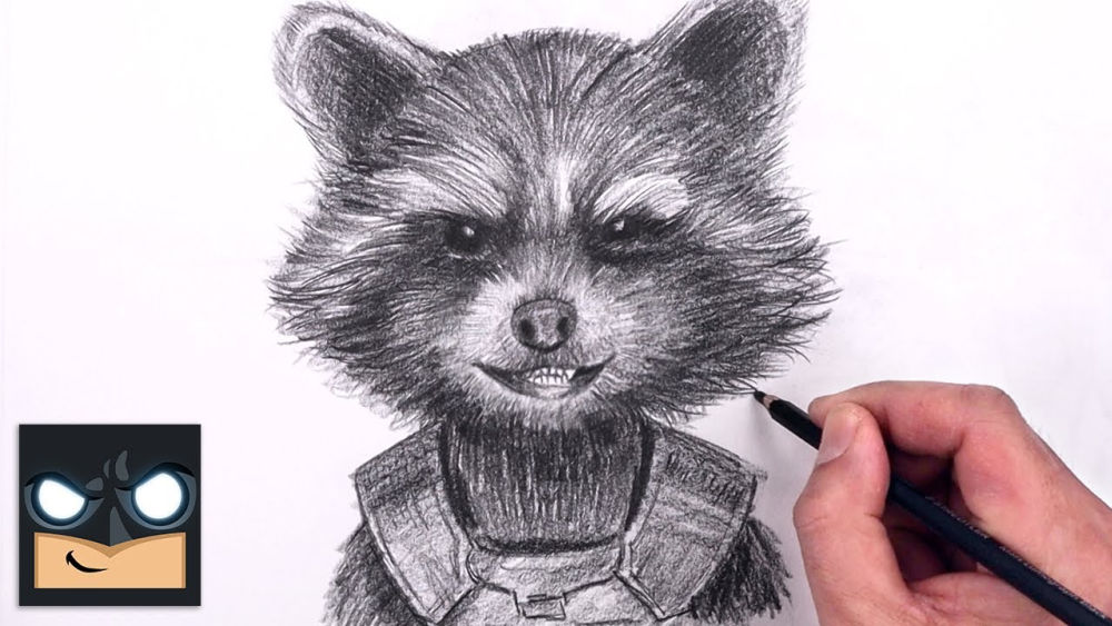25 Easy Raccoon Drawing Ideas - How to Draw a Raccoon