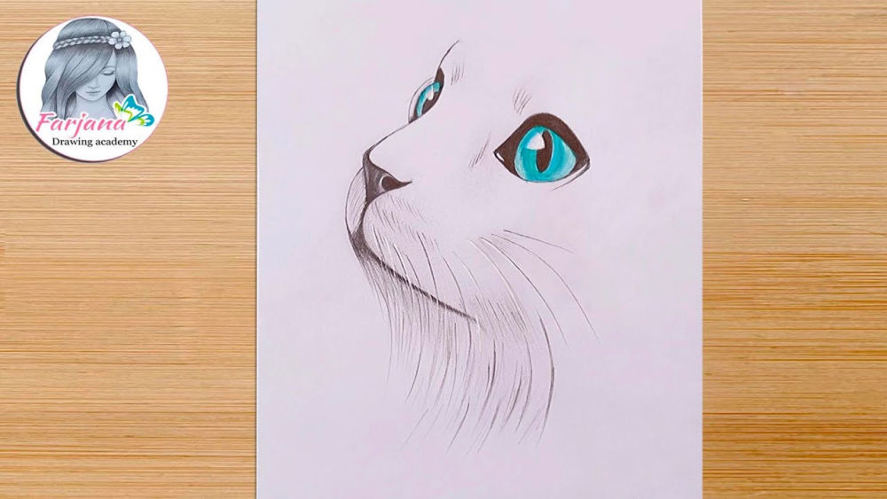 25 Cat Face Drawing Ideas - How to Draw a Cat Face