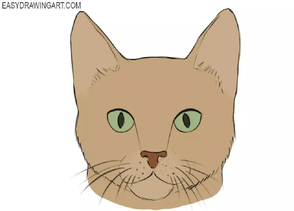 25 Cat Face Drawing Ideas - How to Draw a Cat Face