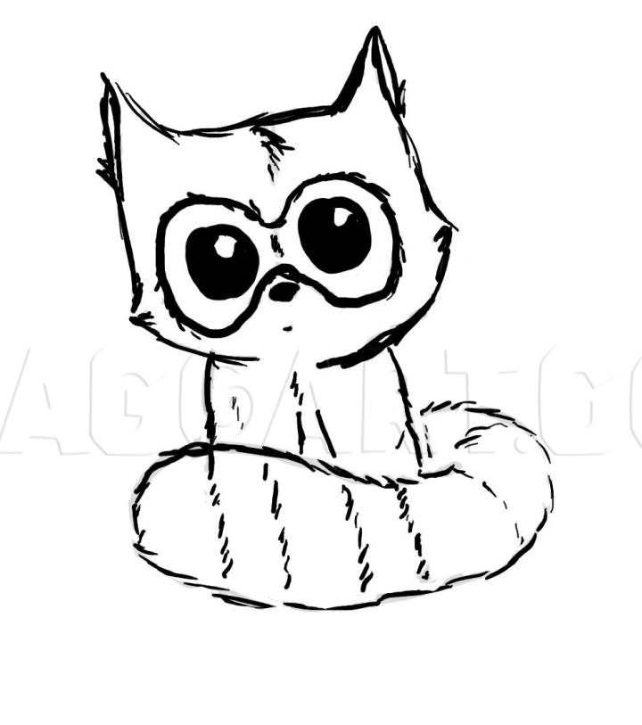 25 Easy Raccoon Drawing Ideas - How to Draw a Raccoon