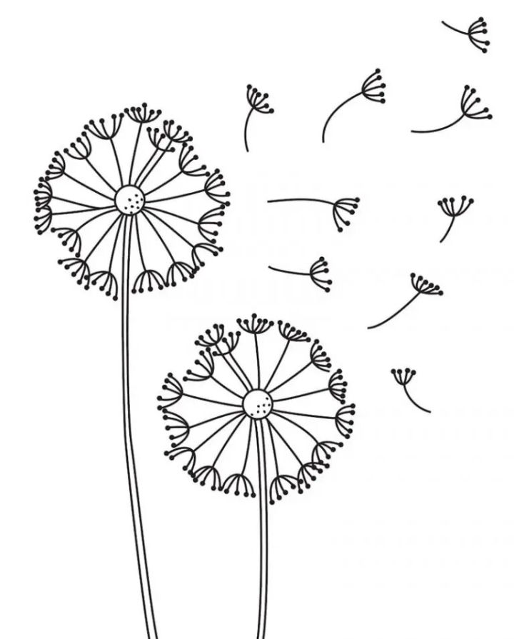 20 Easy Dandelion Drawing Ideas - How to Draw