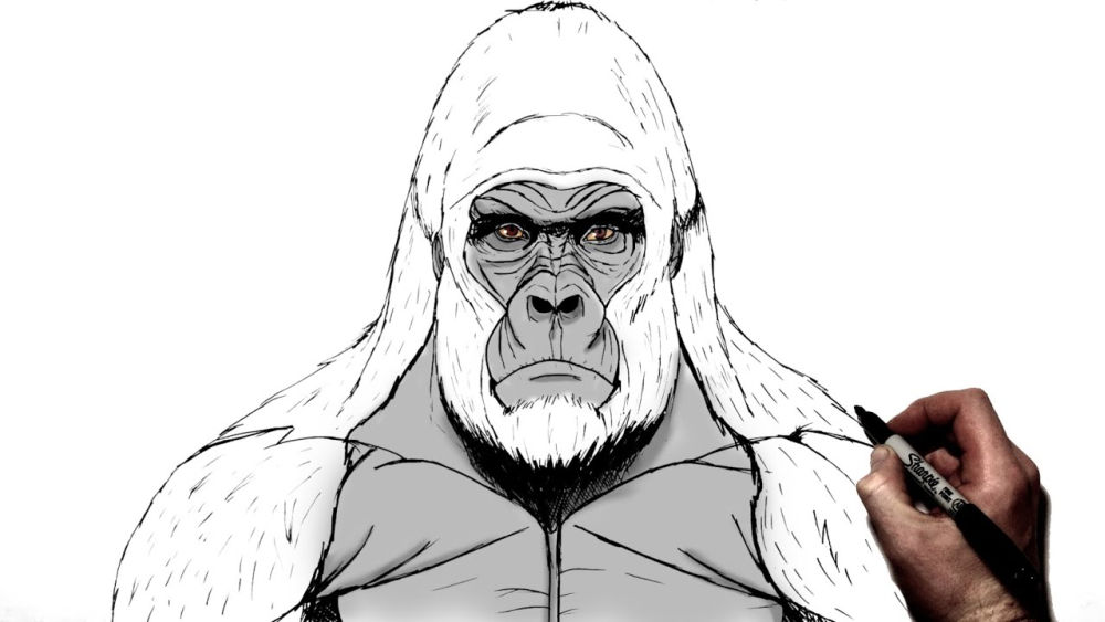 25 Easy Gorilla Drawing Ideas - How to Draw a Gorilla