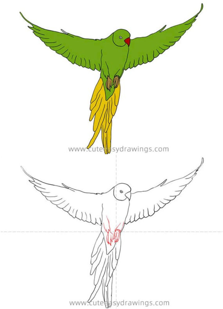 25 Easy Parrot Drawing Ideas - How to Draw a Parrot