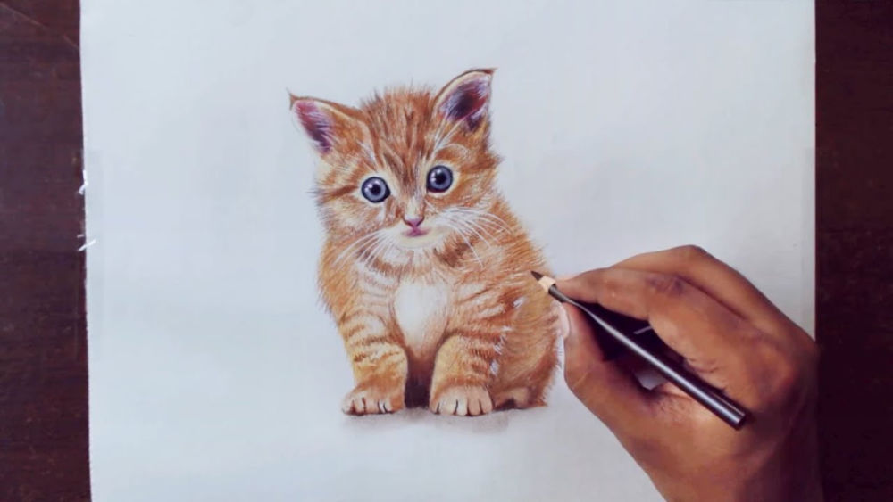 25 Easy Kitten Drawing Ideas - How to Draw a Kitten