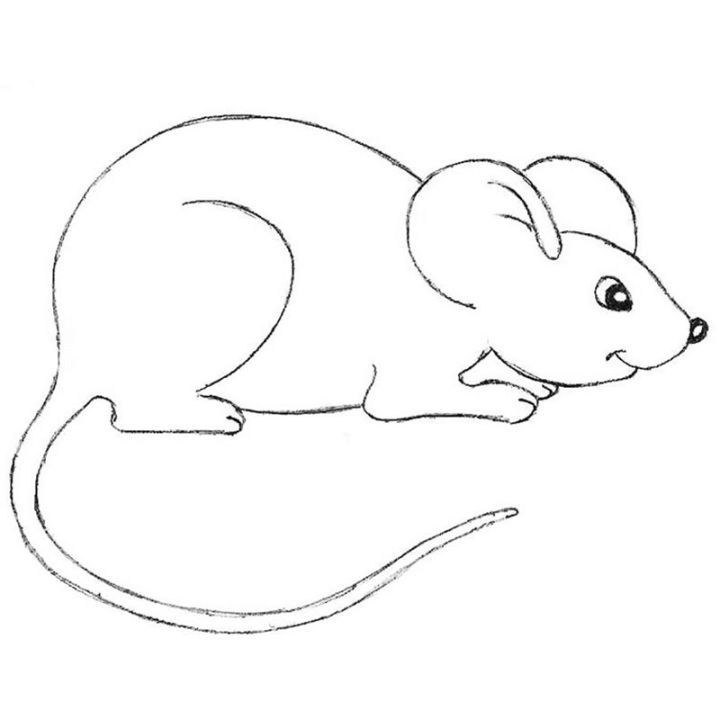 25 Easy Mouse Drawing Ideas - How to Draw a Mouse