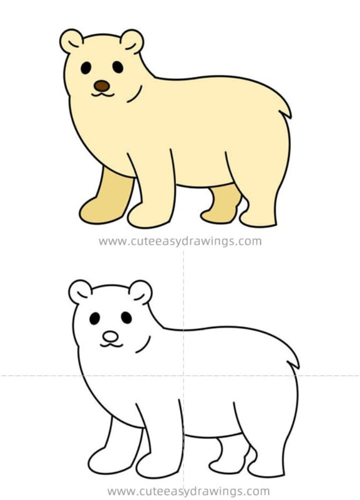 25 Easy Polar Bear Drawing Ideas - How to Draw